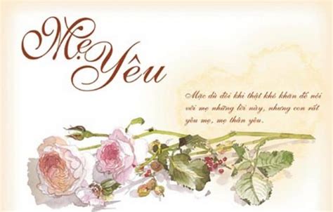 Top 50 hình ảnh hoa tặng mẹ 20 10 cùng các món quà ý nghĩa