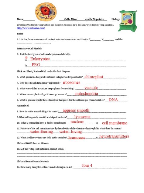 Kami Export Cells Alive Webquest Pdf Cell Biology Eukaryotes