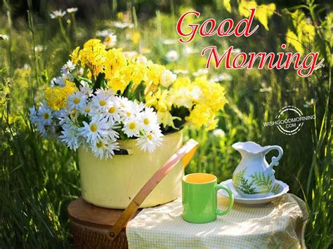 Good Morning Wishes Good Morning Pictures WishGoodMorning