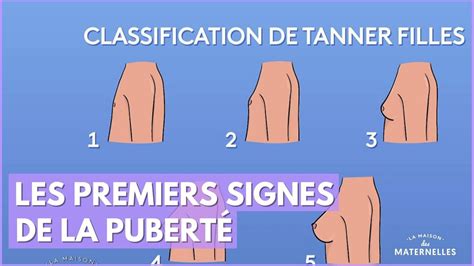 Les premiers signes de la puberté La Maison des maternelles LMDM