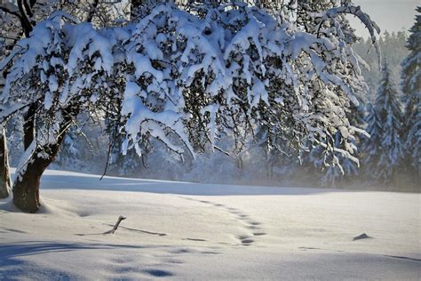 Solstizio d inverno che cos è e quando cade