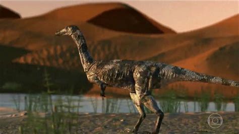 Pesquisadores descobrem espécie inédita de dinossauro no noroeste do