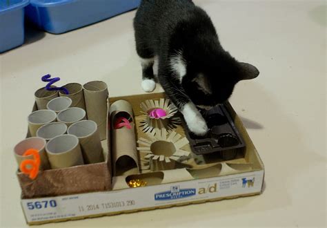 DIY Plateau De Jeux Pour Chat