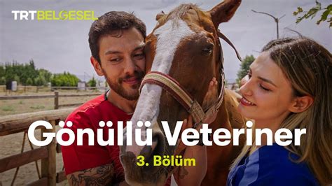 Gönüllü Veteriner 3 Bölüm TRT Belgesel YouTube
