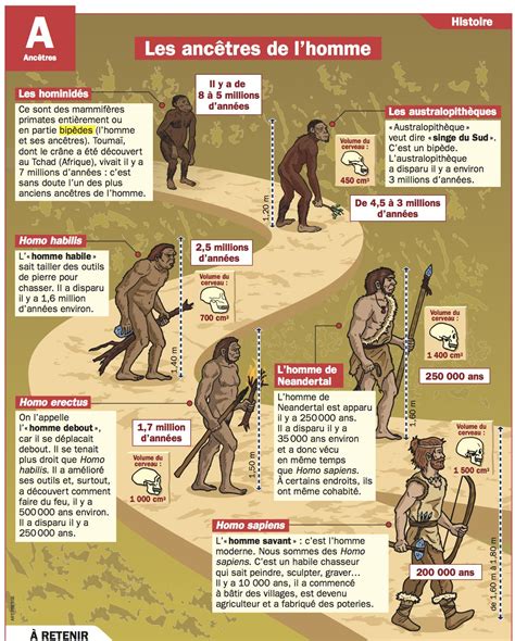 Playbac Presse Digital Histoire ce2 Préhistoire ce2 Histoire cm1