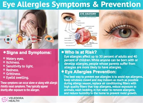 Eye Allergies Types Symptoms Causes And Treatment NBKomputer