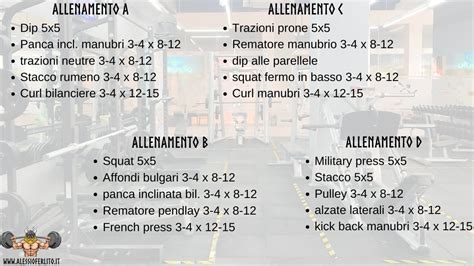 Allenamento Full Body Guida Completa Alessio Ferlito