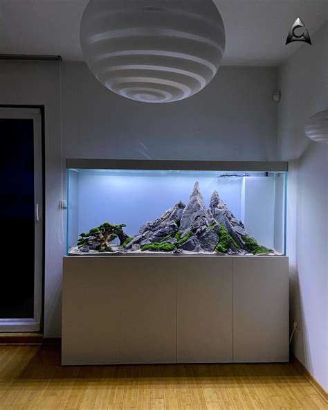 Zakładanie akwarium 600 Litrów Aquaman Nature Studio