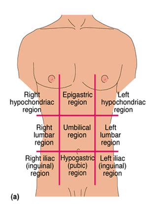 NUR 103 Physical Assessment Of The Abdomen Flashcards Quizlet