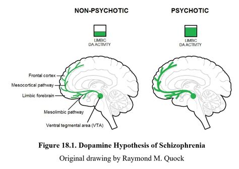 Dopamine Neurotransmitter Schizophrenia
