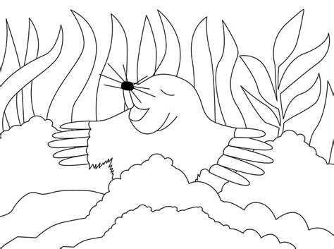 Mole 9 Coloring Play Free Coloring Game Online