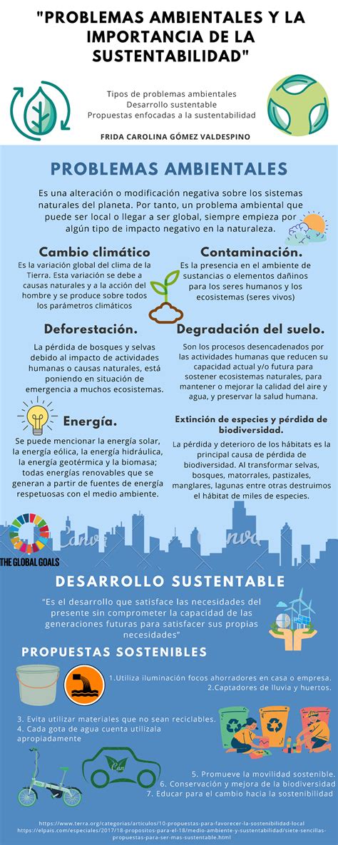 Infografia De Problemas Ambientales Pdf Contaminacin Entorno Natural