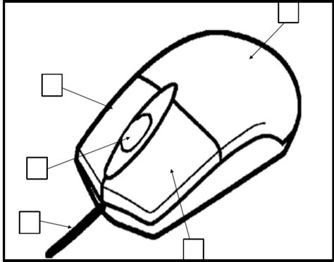 Crítico Impresión Ambigüedad imagenes de mouse con sus partes Endurecer