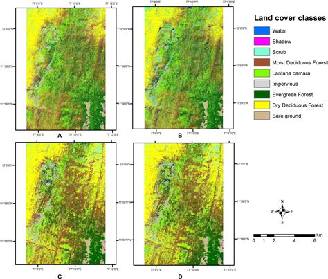 frontiers comparing pixel and object based approaches to map an understorey invasive shrub in