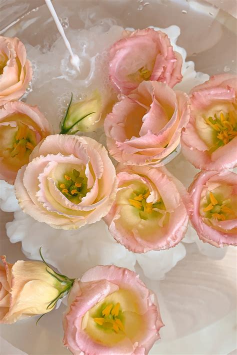 Pink Flower Aesthetic Wallpaper For Your Phone Green Thumb Diaries