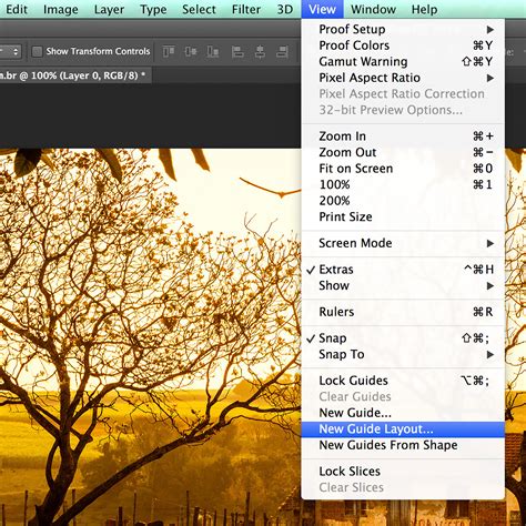 Novidade Photoshop Cc Guide Layout Photopro Cursos Online