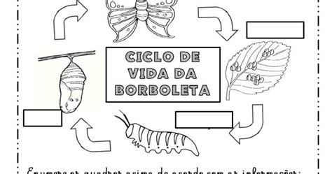 Atividade Escolar Ciclo De Vida Da Borboleta Ciclo De Vida Da