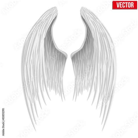 White Wings On A White Background