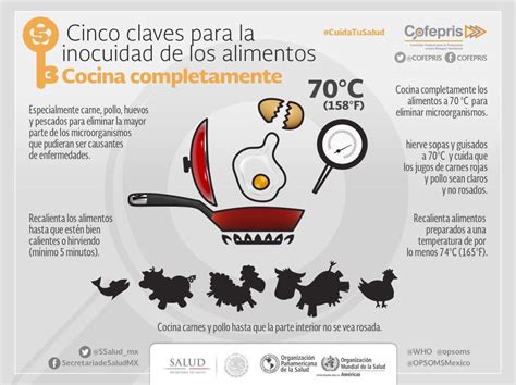 5 Claves Para La Inocuidad De Alimentos Higiene De Los Alimentos