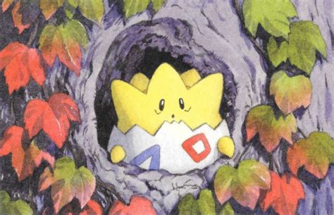 Awaken The Sleeping Togepi In Neo Genesis Set Naoyo Kimura