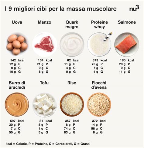 Mantenere Ripetute Responsabile Come Si Calcola La Massa Muscolare