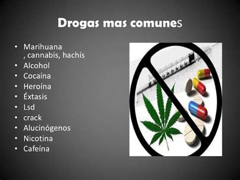 Cuales Son Las Drogas Mas Comunes