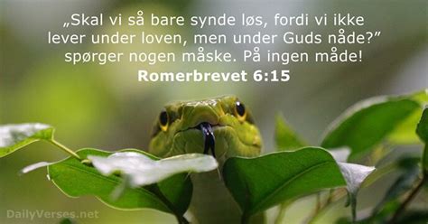 Maj Dagens Bibelvers Romerbrevet Dailyverses Net