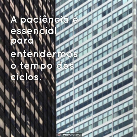Descubra As Melhores Frases Sobre Ciclos Para Refletir E Se Inspirar