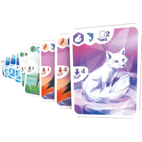 Arctic Jeux de société Ludum fr