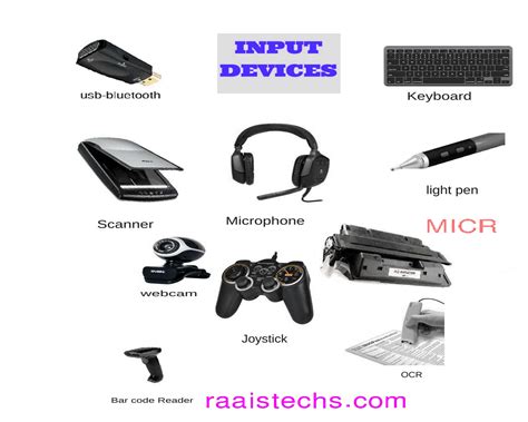Input Device IGCSE Computer Book Quizizz