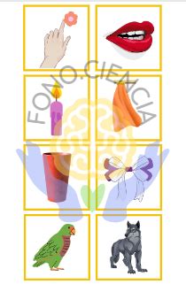 40 Tarjetas de pares mínimos Fonociencia
