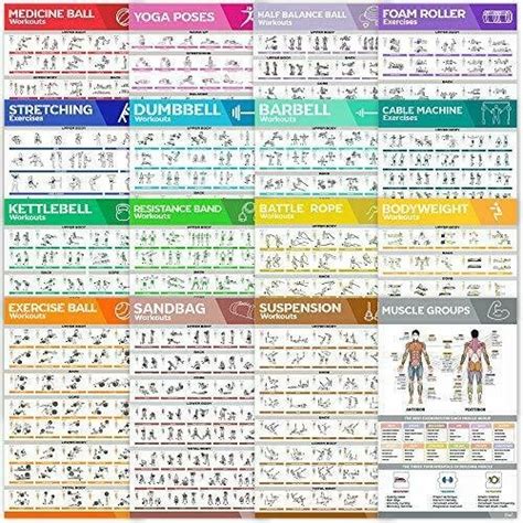 16 PACK Laminated Large Workout Poster Set Perfect Workout Posters