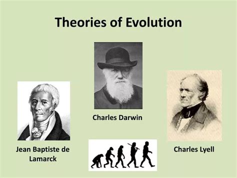 Evolutionary Theory