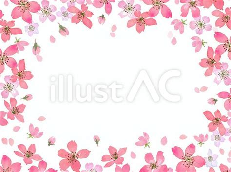 免費矢量 櫻花框