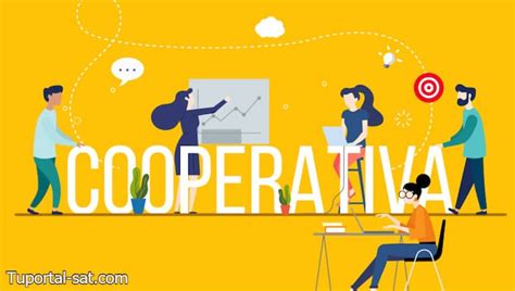 Qué es la sociedad cooperativa Tipos y características