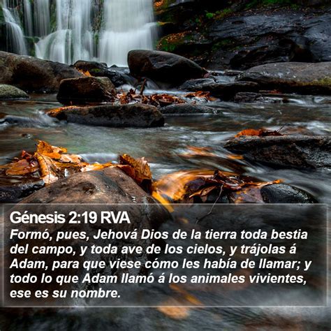 Génesis 2 19 RVA Formó pues Jehová Dios de la tierra toda