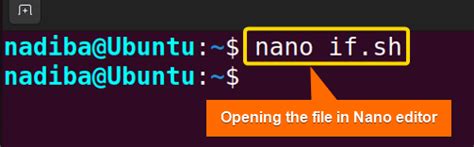 Bash Conditional Statements LinuxSimply