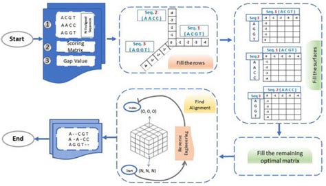 computation free full text accelerating multiple sequence alignments using parallel computing