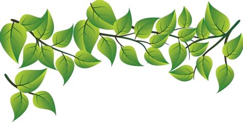 Green Leaves Foliage Design And Botanical Art PNG File PNG All