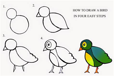 How To Draw Birds Step By Step Easy