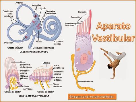 O que é O Vestibular BRAINCP