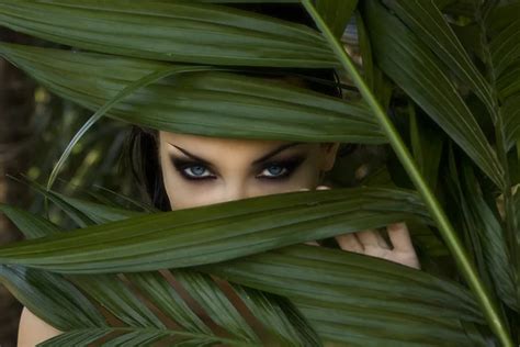 Jungle Background Stock Photos Royalty Free Jungle Background Images
