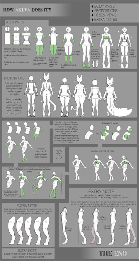 Guide To Drawing Furry Faces 20 By Snorechu On Deviantart Body Drawing Tutorial Furry