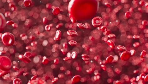 Which Hormone Stimulates The Production Of Red Blood Cells Health