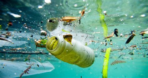 Un Mare Di Plastica