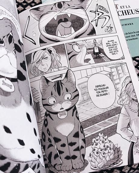 Manga Seinen Le gros chat et la sorcière grincheuse