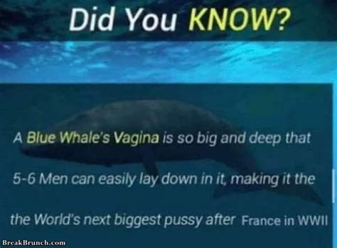 What Is The Biggest Vagina In The World Telegraph