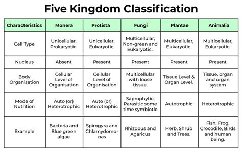 Taxonomic Hierarchy In Biological Classification GeeksforGeeks