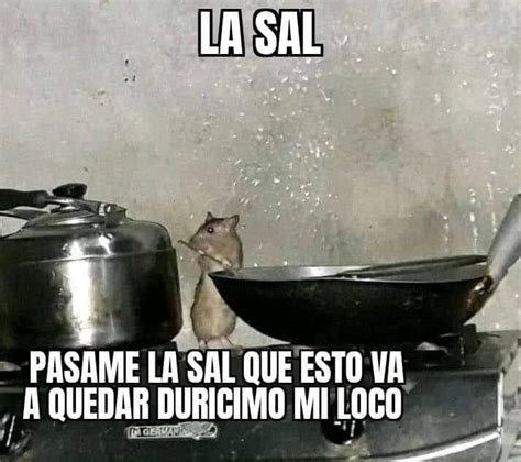 La Sal Ctm Meme By Kaleno87 Memedroid