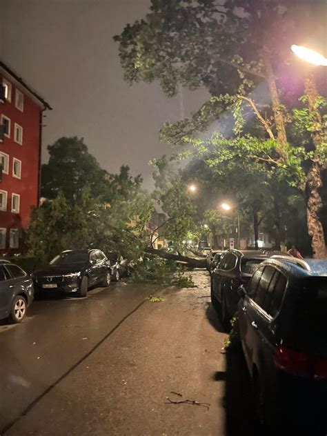Schweres Unwetter trifft München Baum kracht auf Auto zahlreiche
